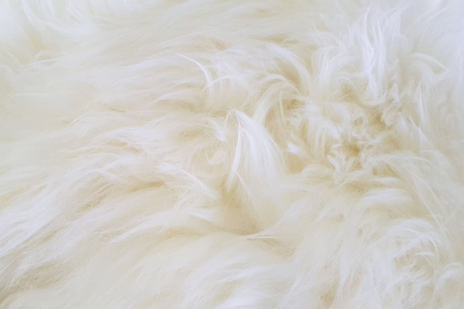 Sheepskin Rug (White) - Small